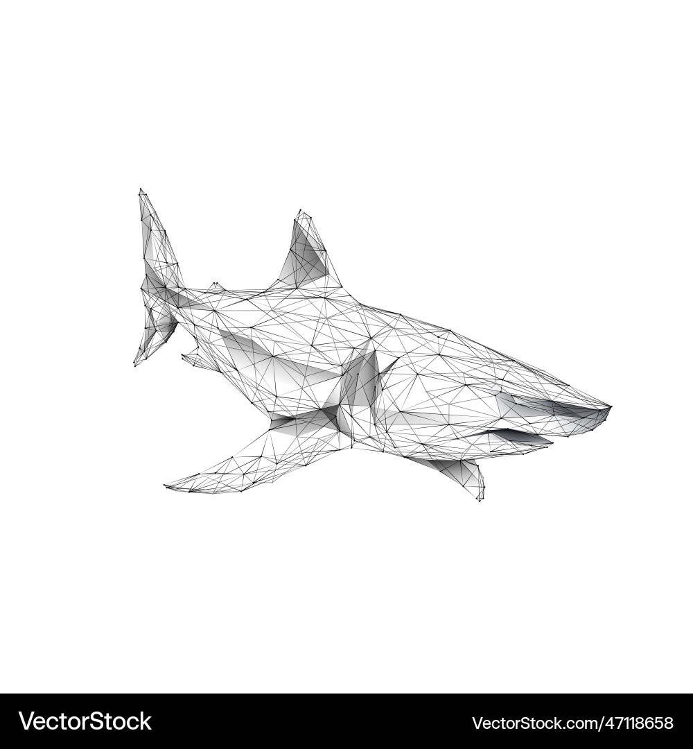 Great white shark isolated on background Vector Image