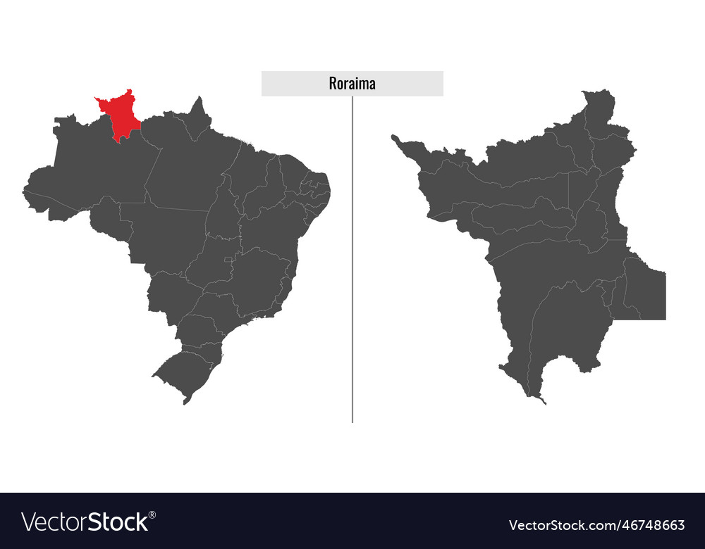 Map of roraima state of brazil Royalty Free Vector Image