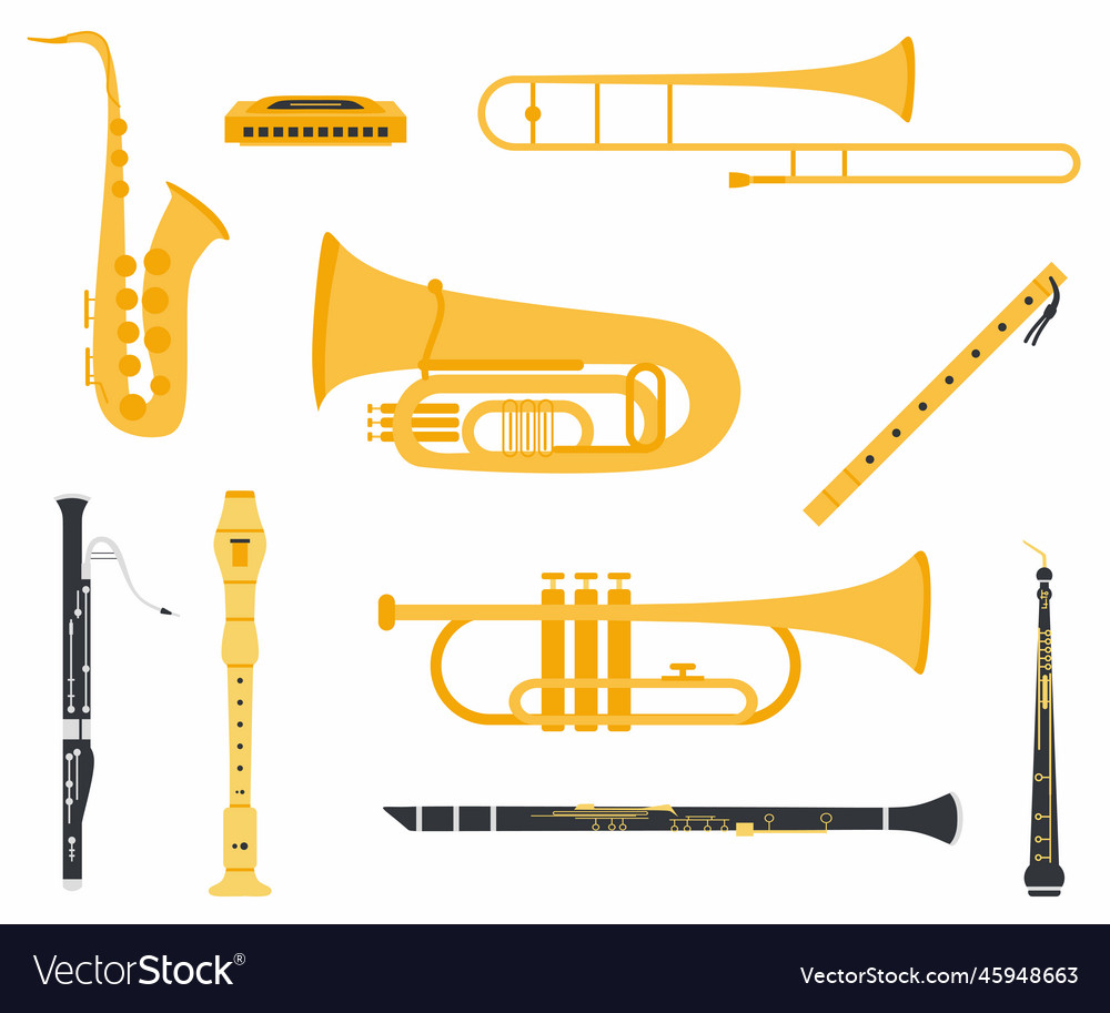 Set collection of musical instruments Royalty Free Vector