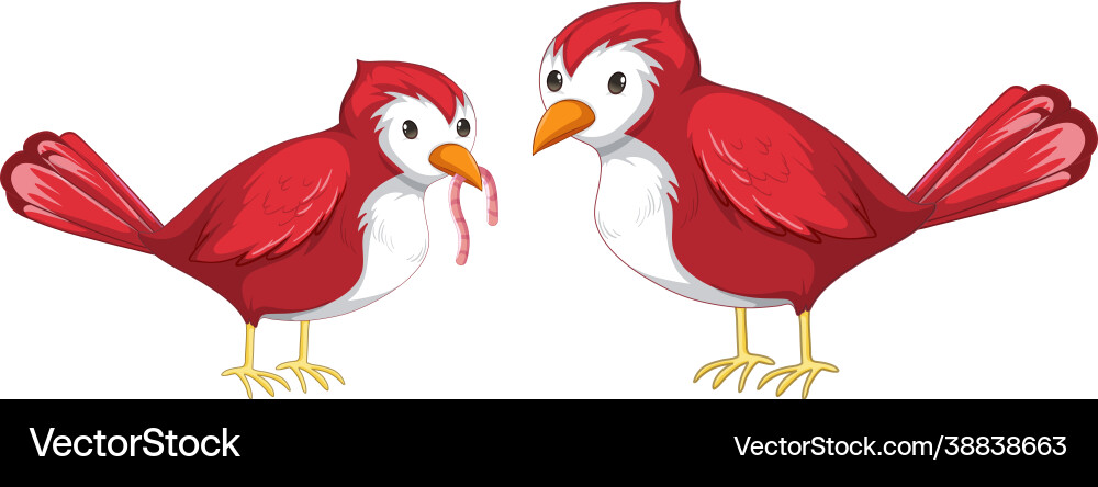 Two red bird catching worm in cartoon style Vector Image