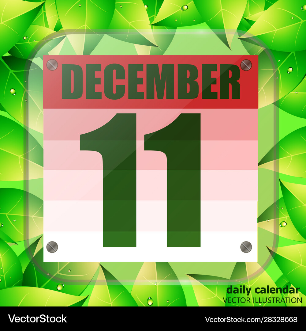December 11 icon for planning important day Vector Image