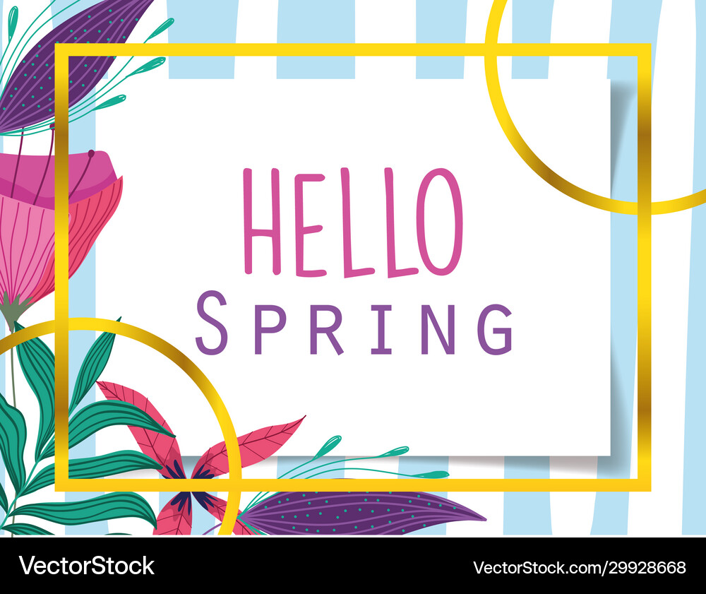 Hello spring flowers nature gold frame decoration Vector Image