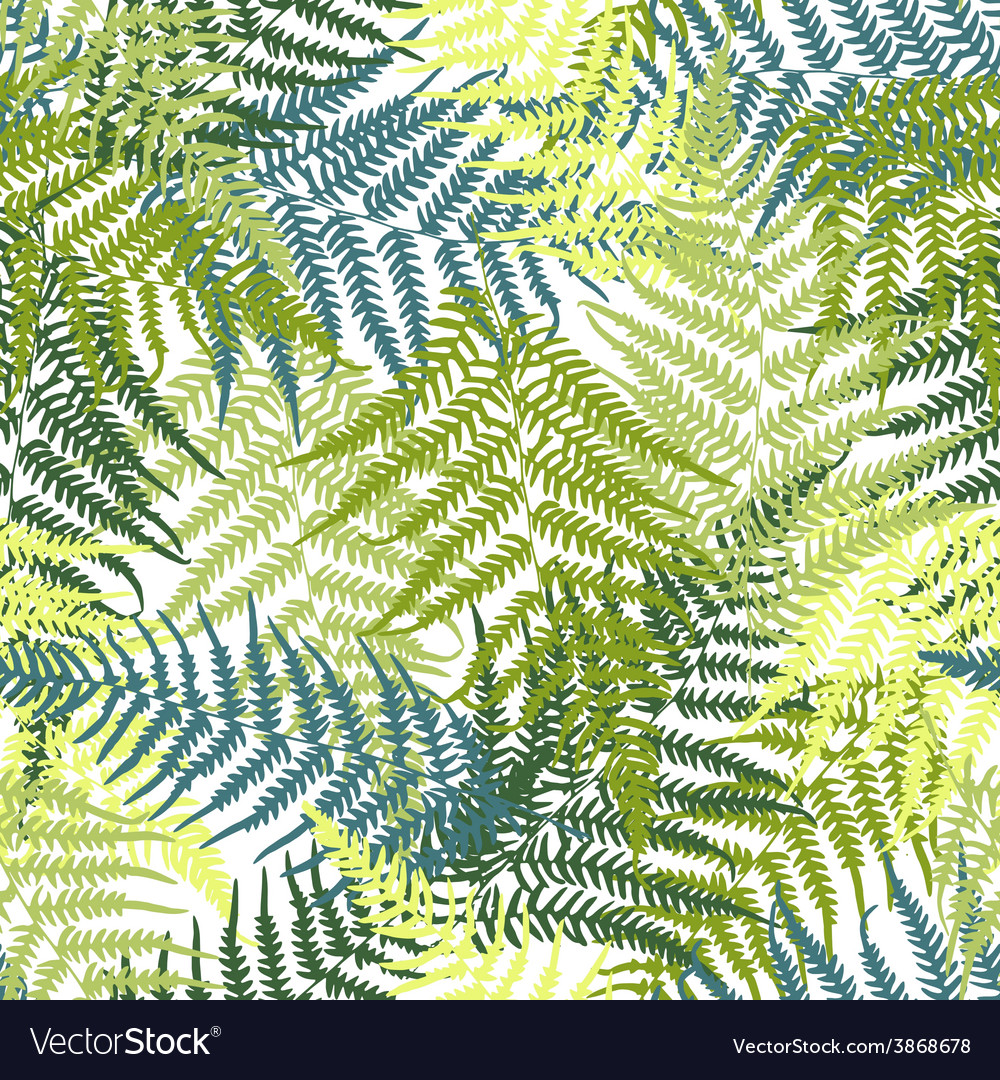 Fern seamless pattern Royalty Free Vector Image