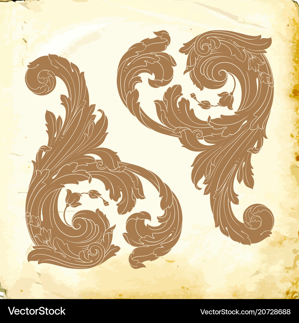 Baroque of vintage elements for design Royalty Free Vector