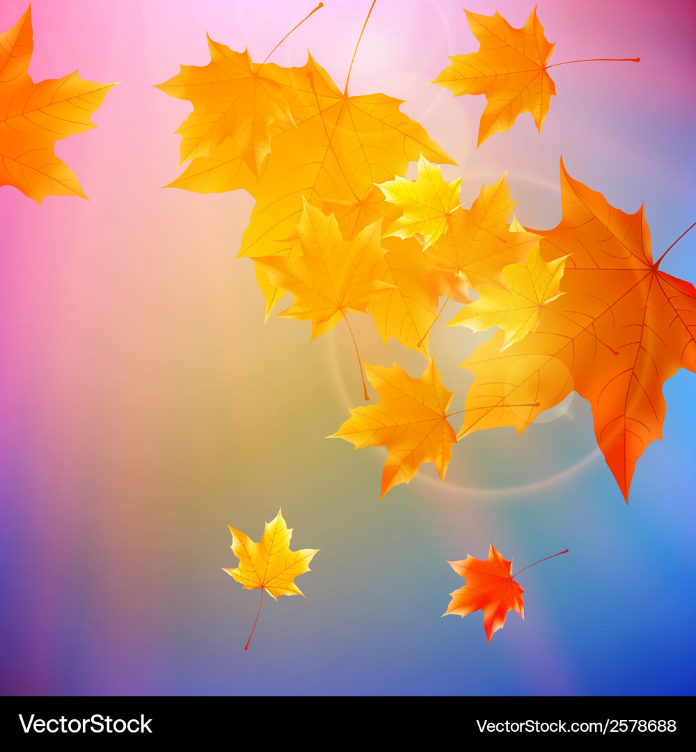 Beautiful autumn leaves Royalty Free Vector Image