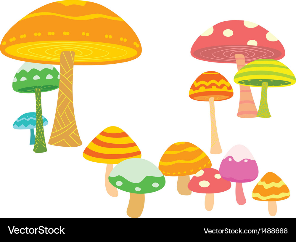Mushrooms Royalty Free Vector Image - VectorStock