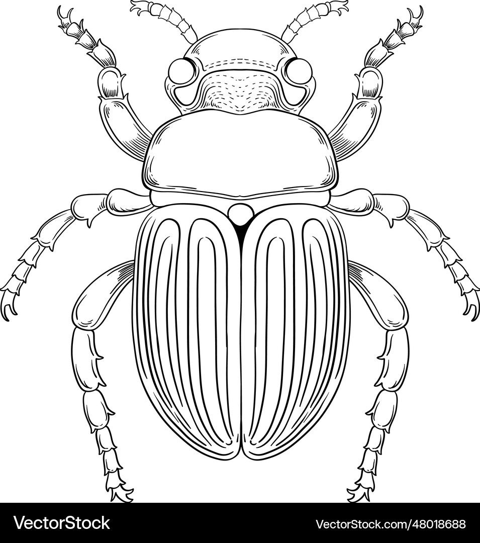 Scarab beetle outline for colouring Royalty Free Vector