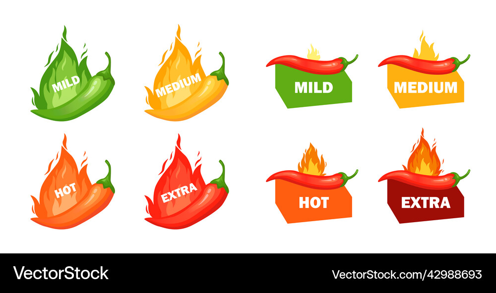 Hot Spice Level - Flame Pepper – Royalty-Free Vector | VectorStock