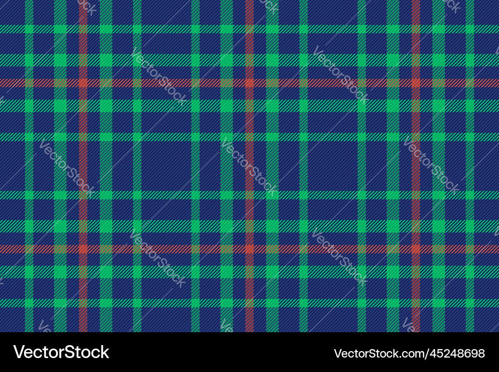Check texture textile fabric pattern plaid Vector Image