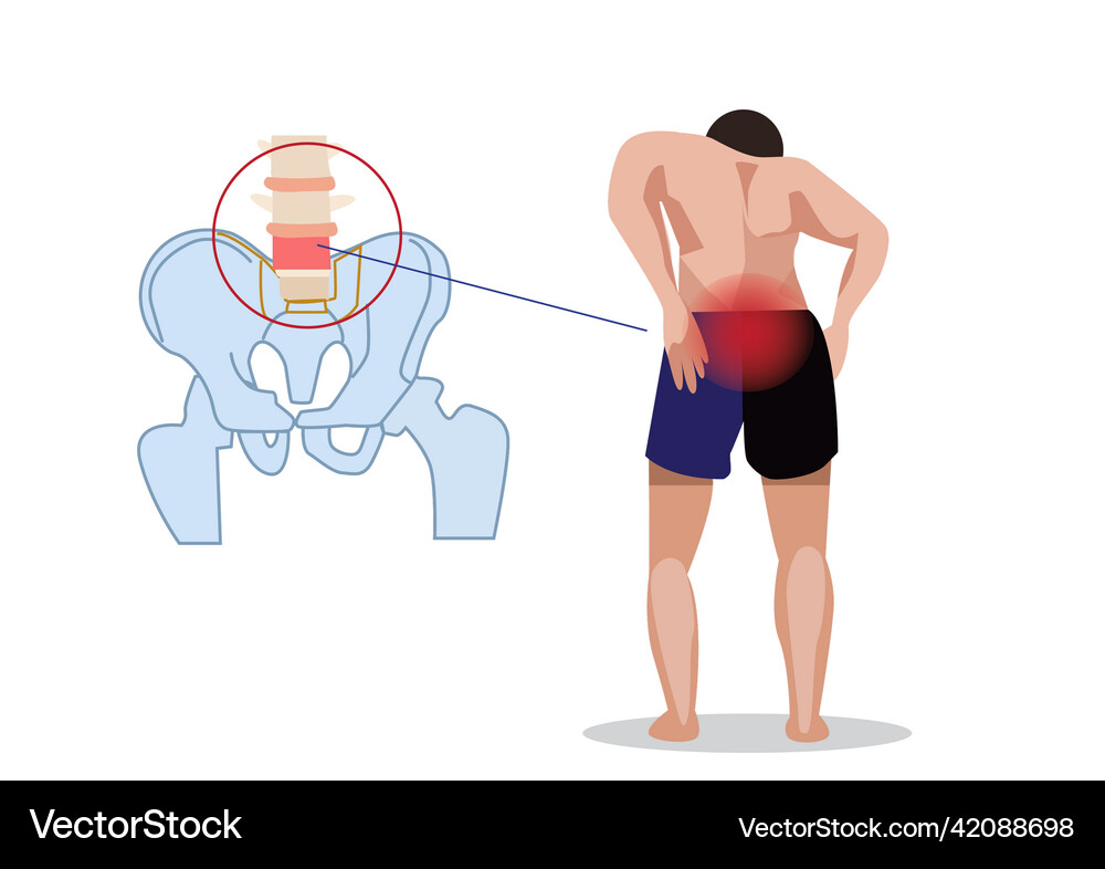 Man holding his waist a mans bare torso from Vector Image