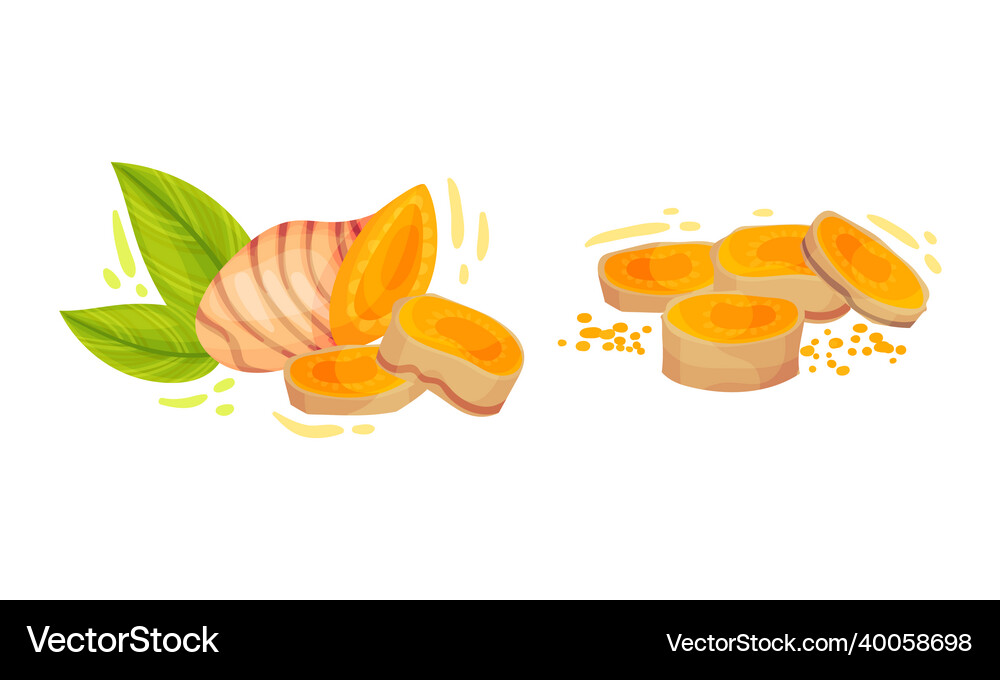 Sliced turmeric rhizome or root and green leaf Vector Image