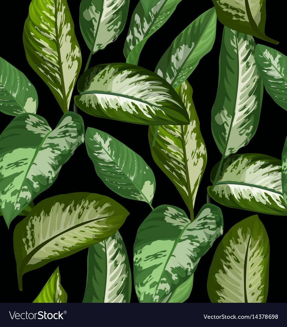 Tropical leaf pattern Royalty Free Vector Image
