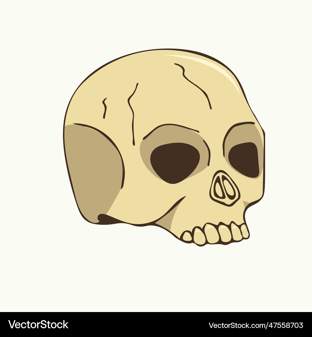 A hand drawn human skull Royalty Free Vector Image