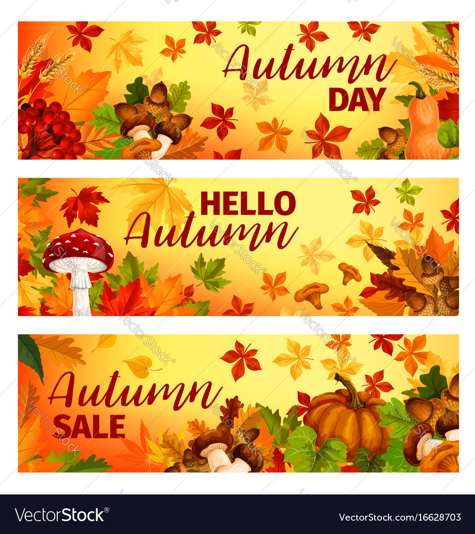 Hello autumn banner with fall leaf frame border Vector Image