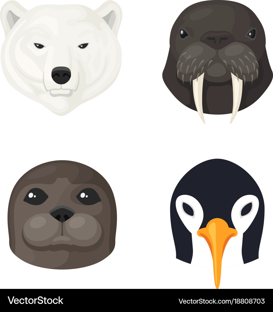 Polar animals set Royalty Free Vector Image - VectorStock