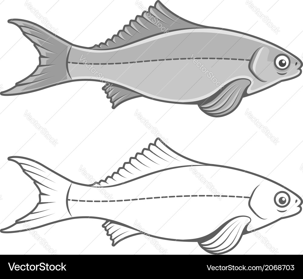 Silhouette of fish contour Royalty Free Vector Image