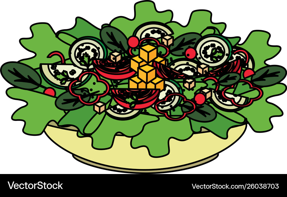 Vegetables fresh salad in bowl Royalty Free Vector Image