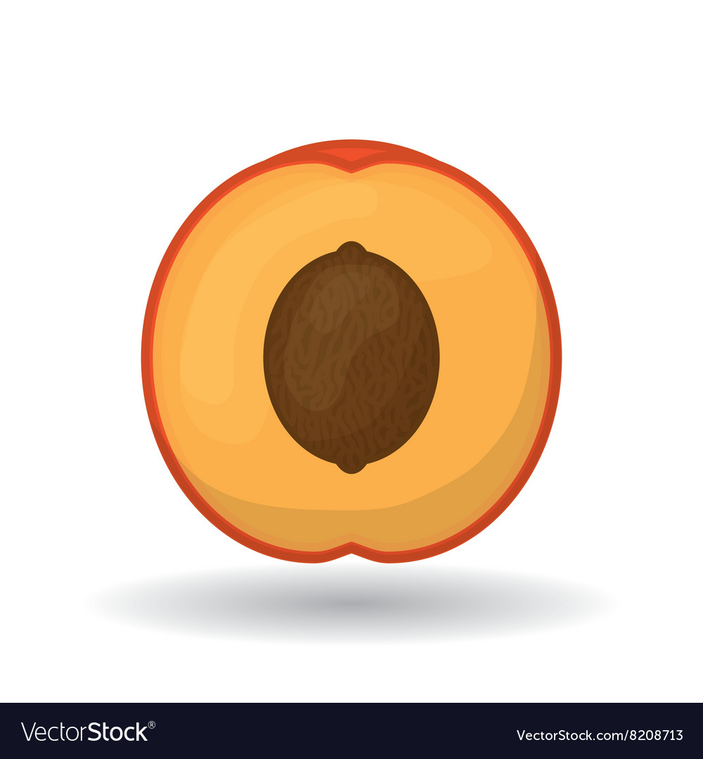 Peach icon design Royalty Free Vector Image - VectorStock