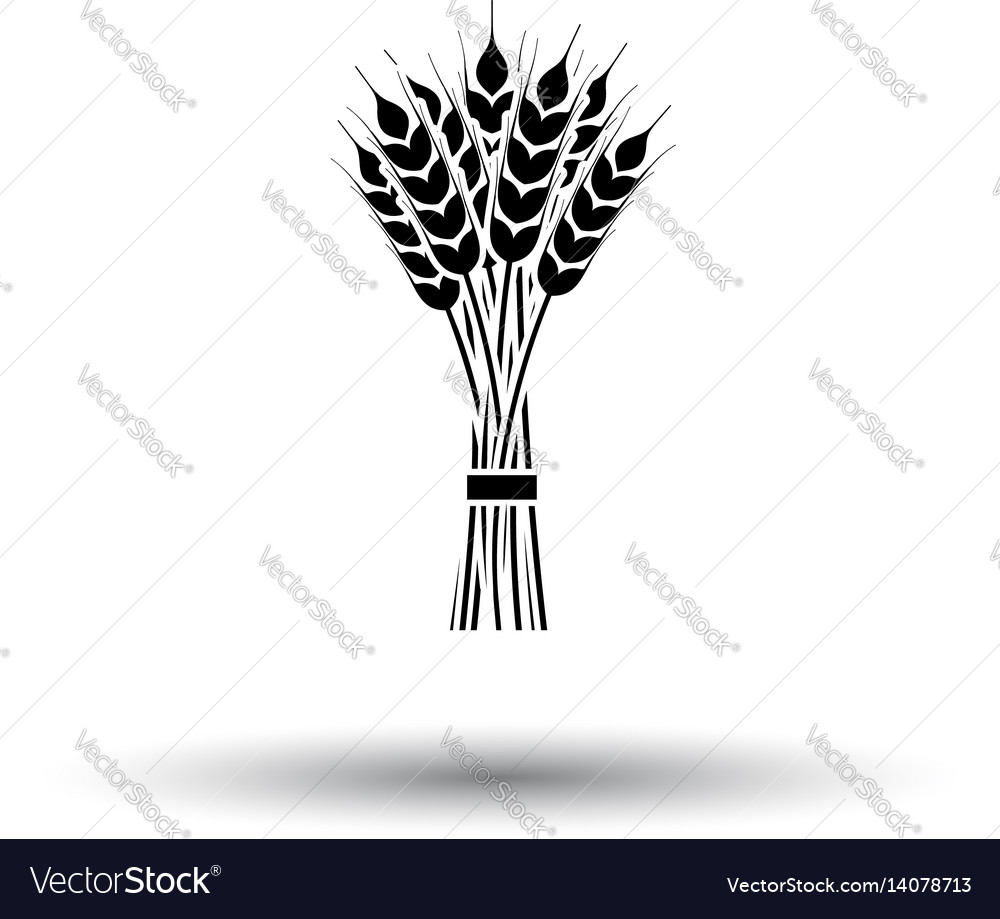 Wheat icon Royalty Free Vector Image - VectorStock