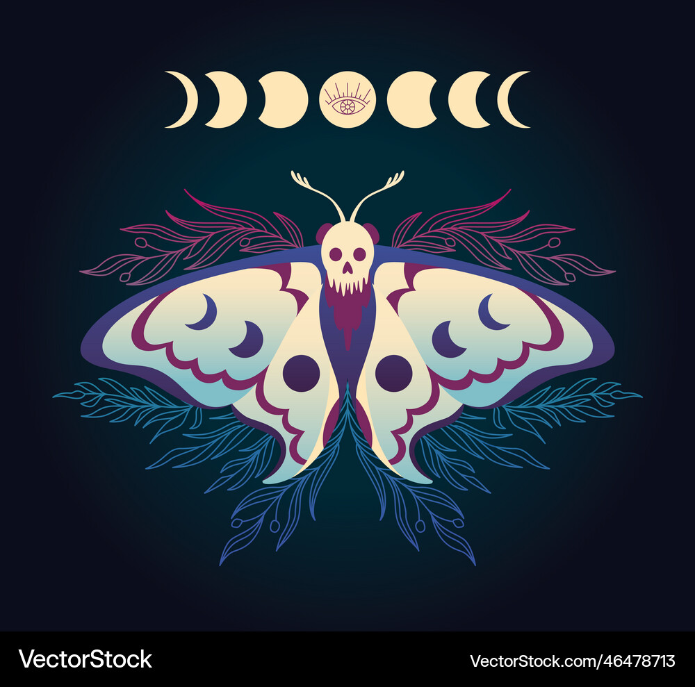 With hawk moth phases of the moon Royalty Free Vector Image