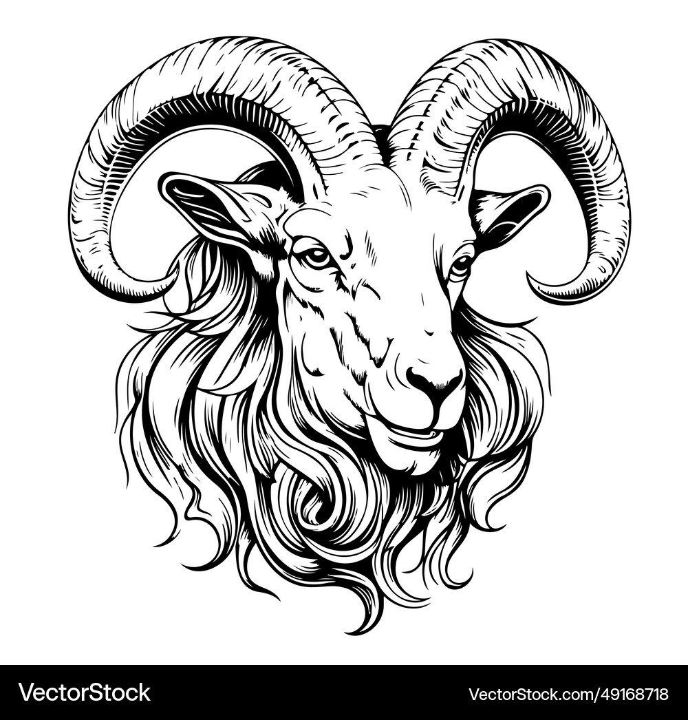 Capricorn hand drawn sketch in comic style Vector Image