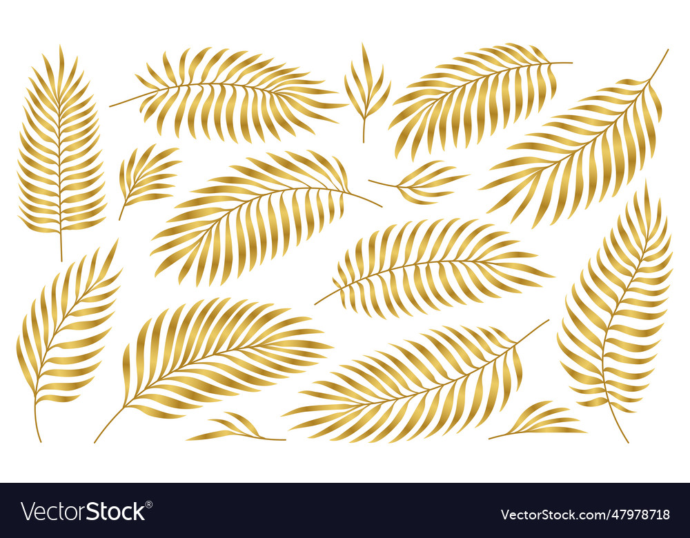 Gold palm leaves tropical foliage exotic leaf set Vector Image