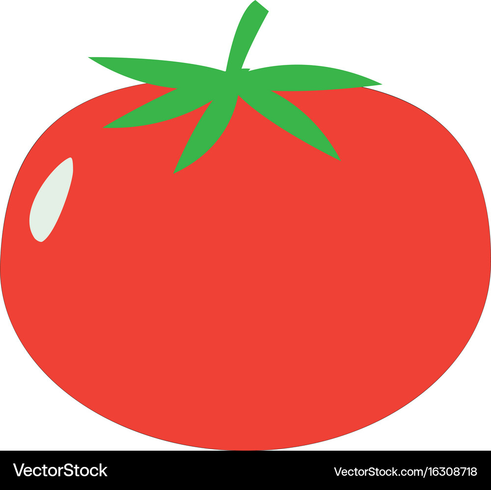 Tomato sign tomato icon on white background flat Vector Image