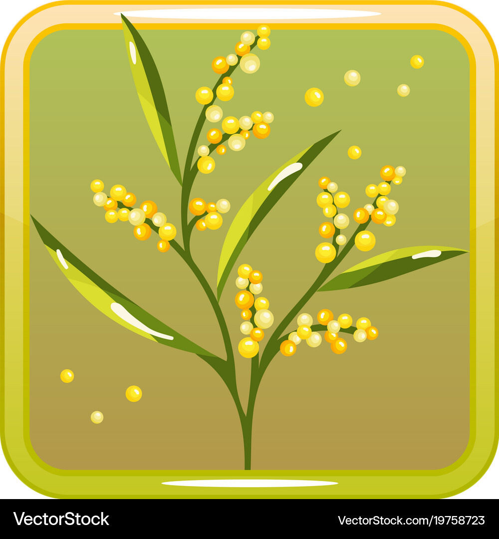 Game icon with mimosa flower Royalty Free Vector Image