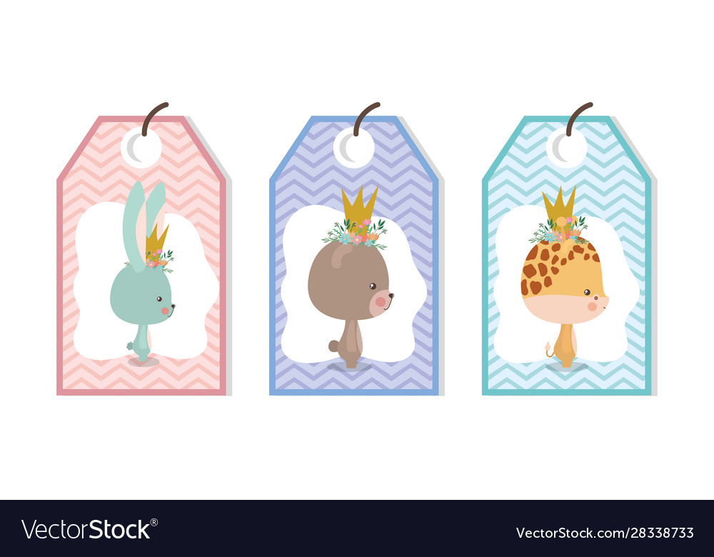 Cute animals labels design Royalty Free Vector Image