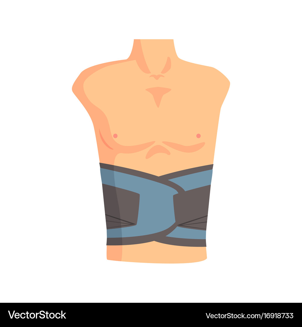 Orthopedic support belt used to support lumbar Vector Image
