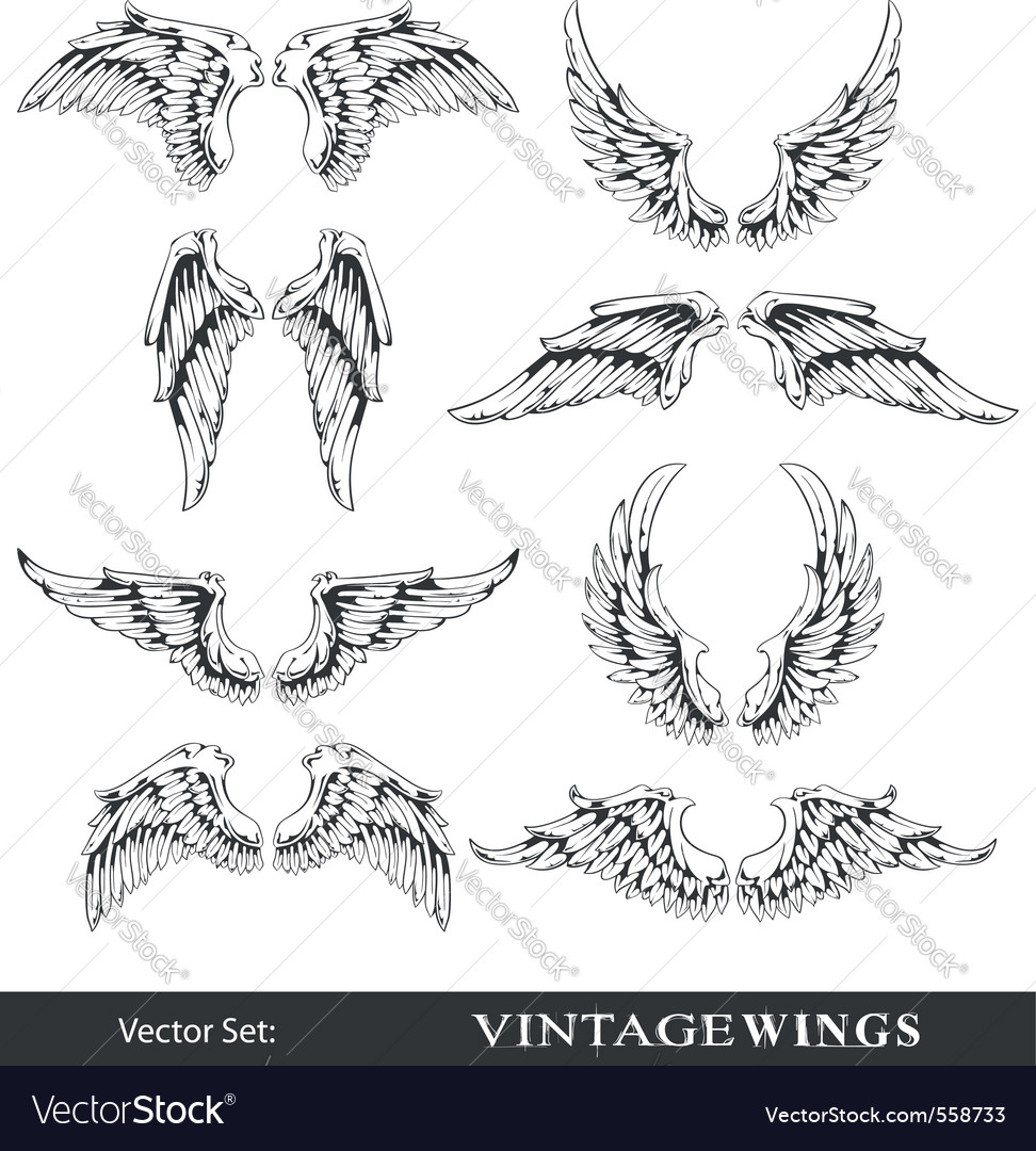 Set wings Royalty Free Vector Image - VectorStock