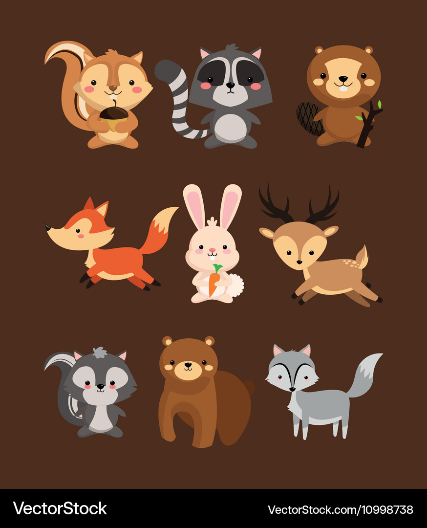 Fox rabbit deer squirrel raccoon beaver skunk and Vector Image