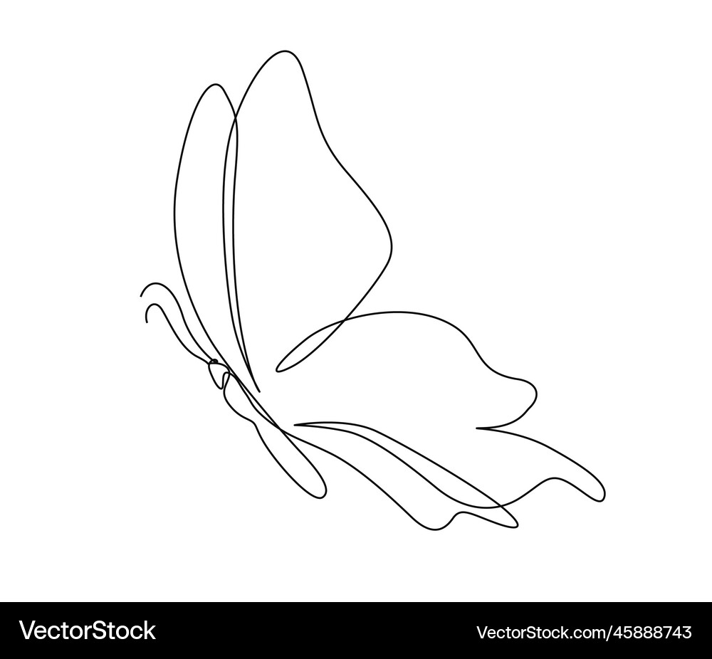 Continuous one line drawing of butterfly simple Vector Image