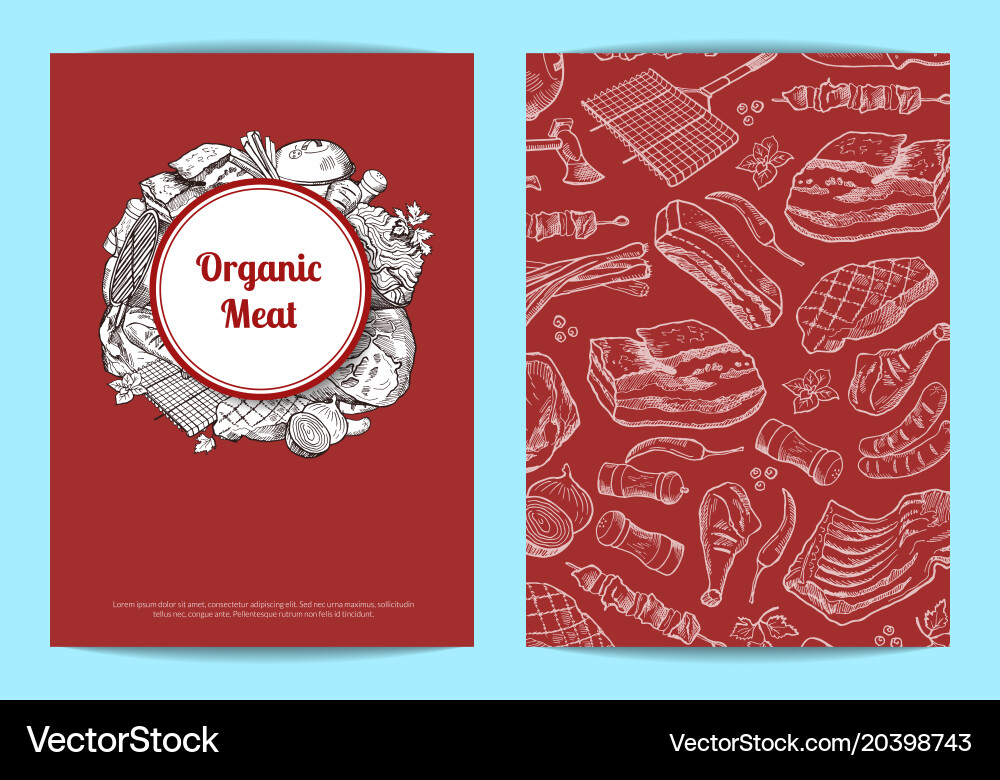Hand drawn meat elements for butchers shop Vector Image