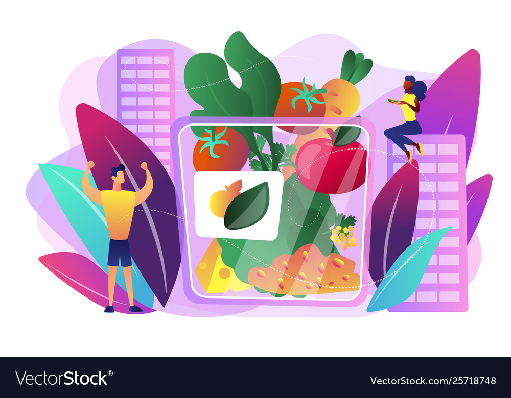Assorted snack pack concept Royalty Free Vector Image