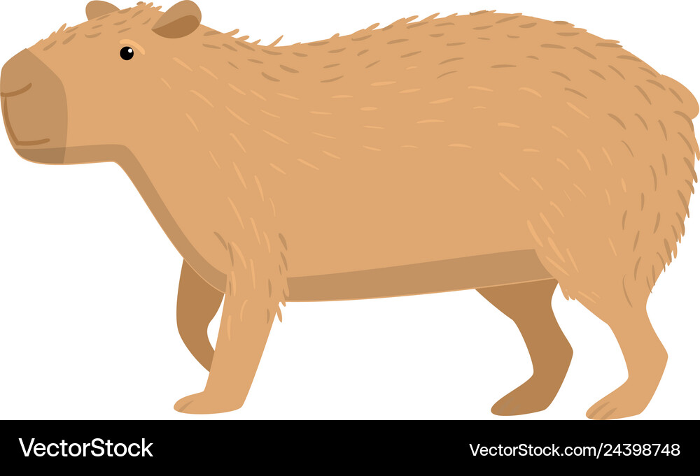 Cute desman transparent isolated on white Vector Image