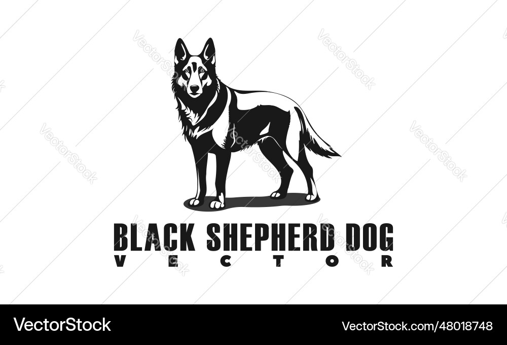 Graphic standing black shepherd dog breed service Vector Image