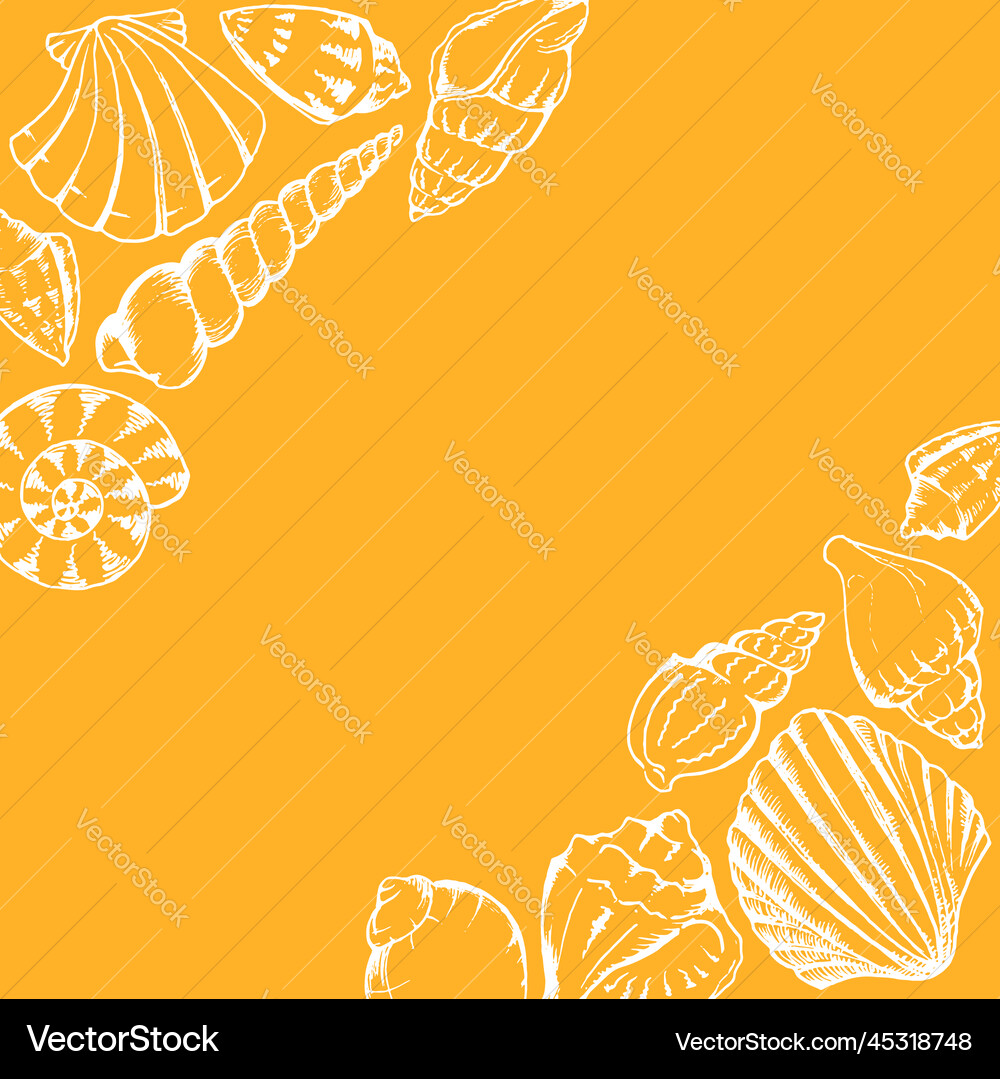 Monochrome sea shells line art hand drawn frame Vector Image