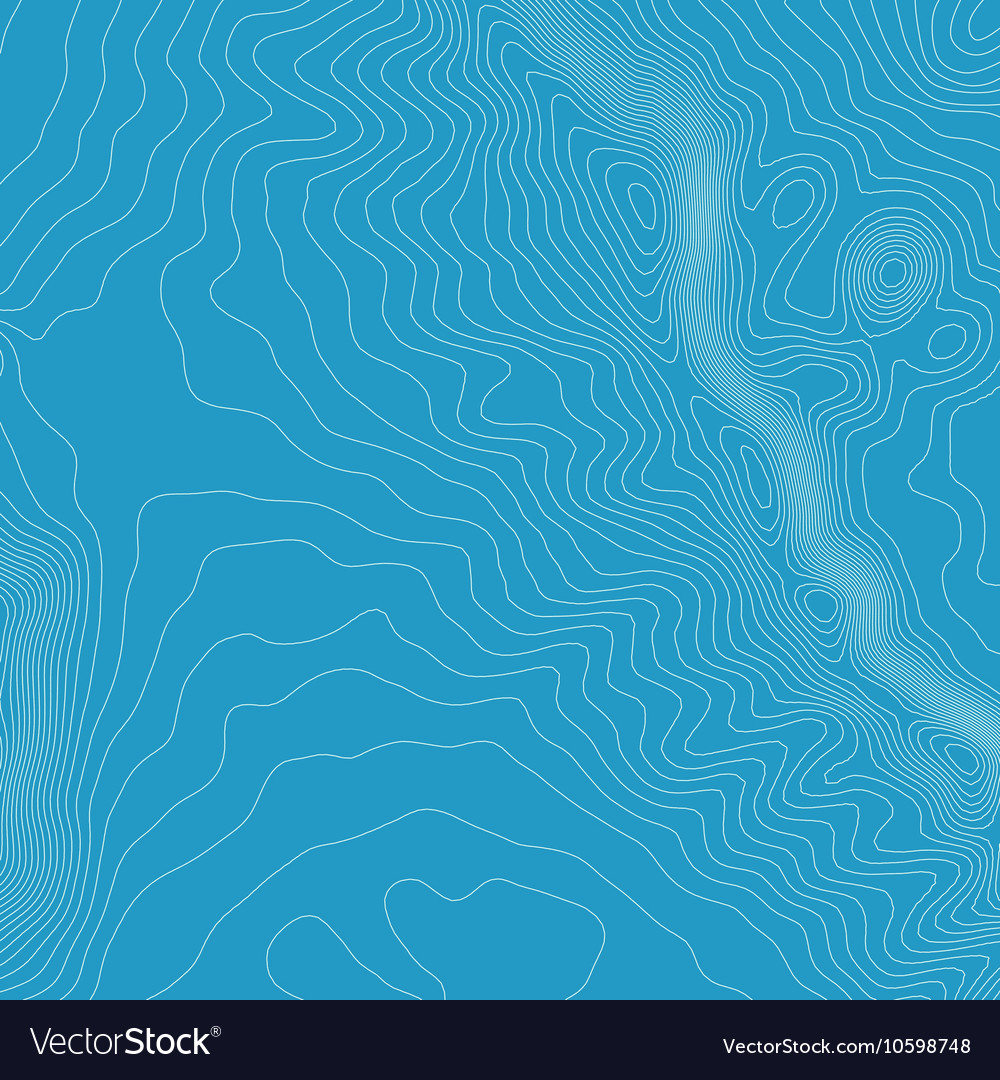 Topographic map background concept with space Vector Image Topographic map background concept with space Vector Image