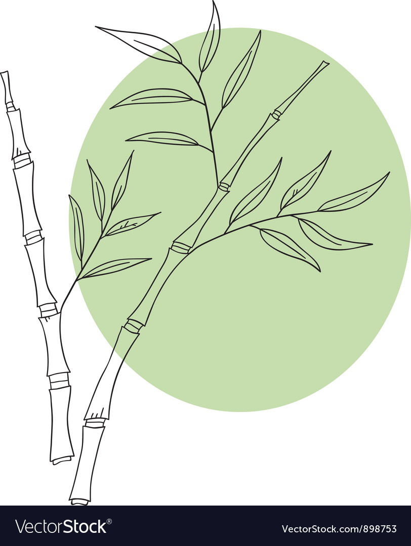 Bamboo Royalty Free Vector Image - VectorStock Bamboo Royalty Free Vector Image - VectorStock