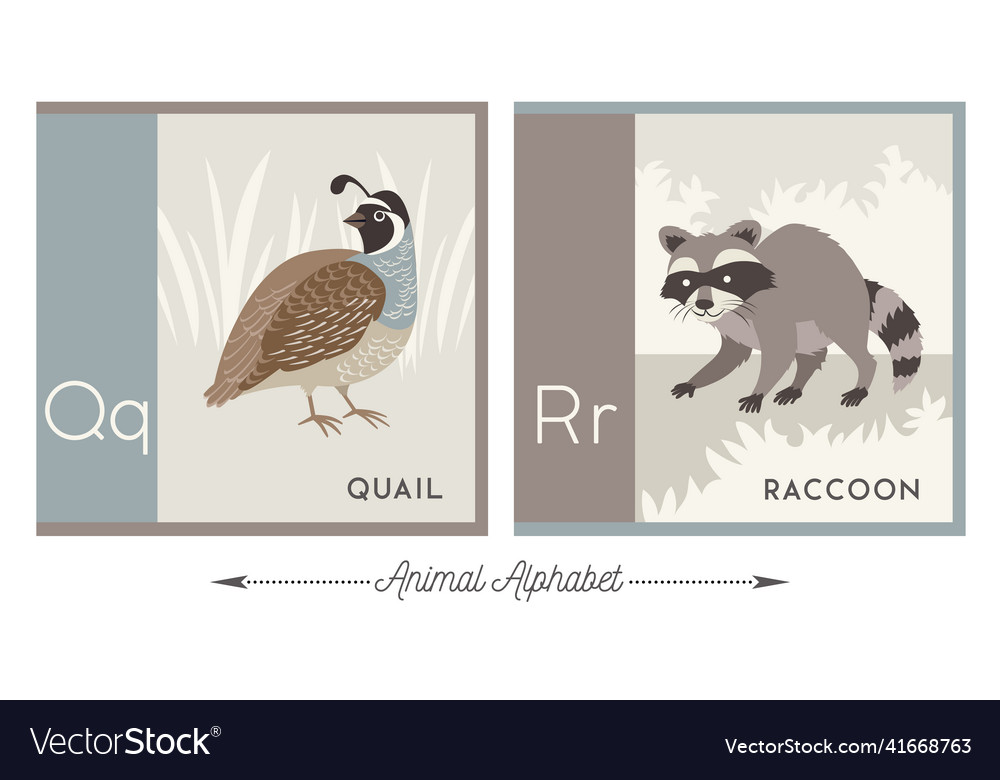 Animal alphabet q for quail and r raccoon Vector Image