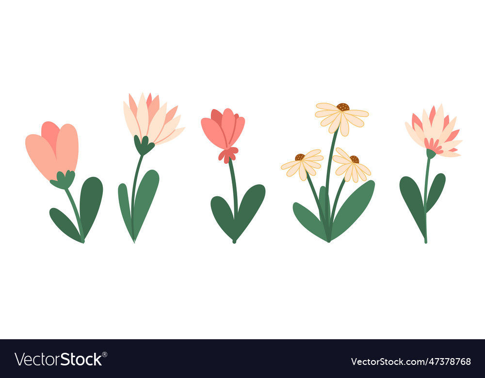 Blooming flowers spring Royalty Free Vector Image