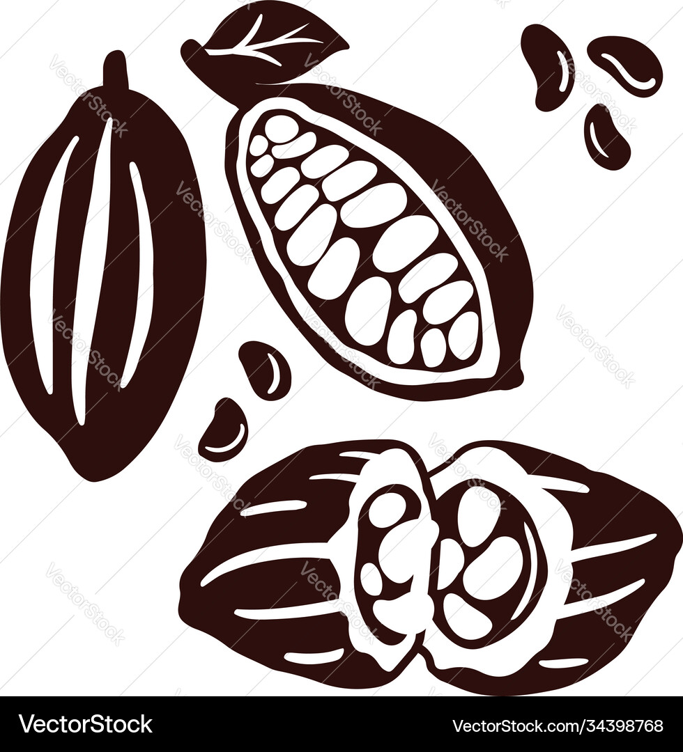 Cocoa beans set chocolate beans vintage Royalty Free Vector
