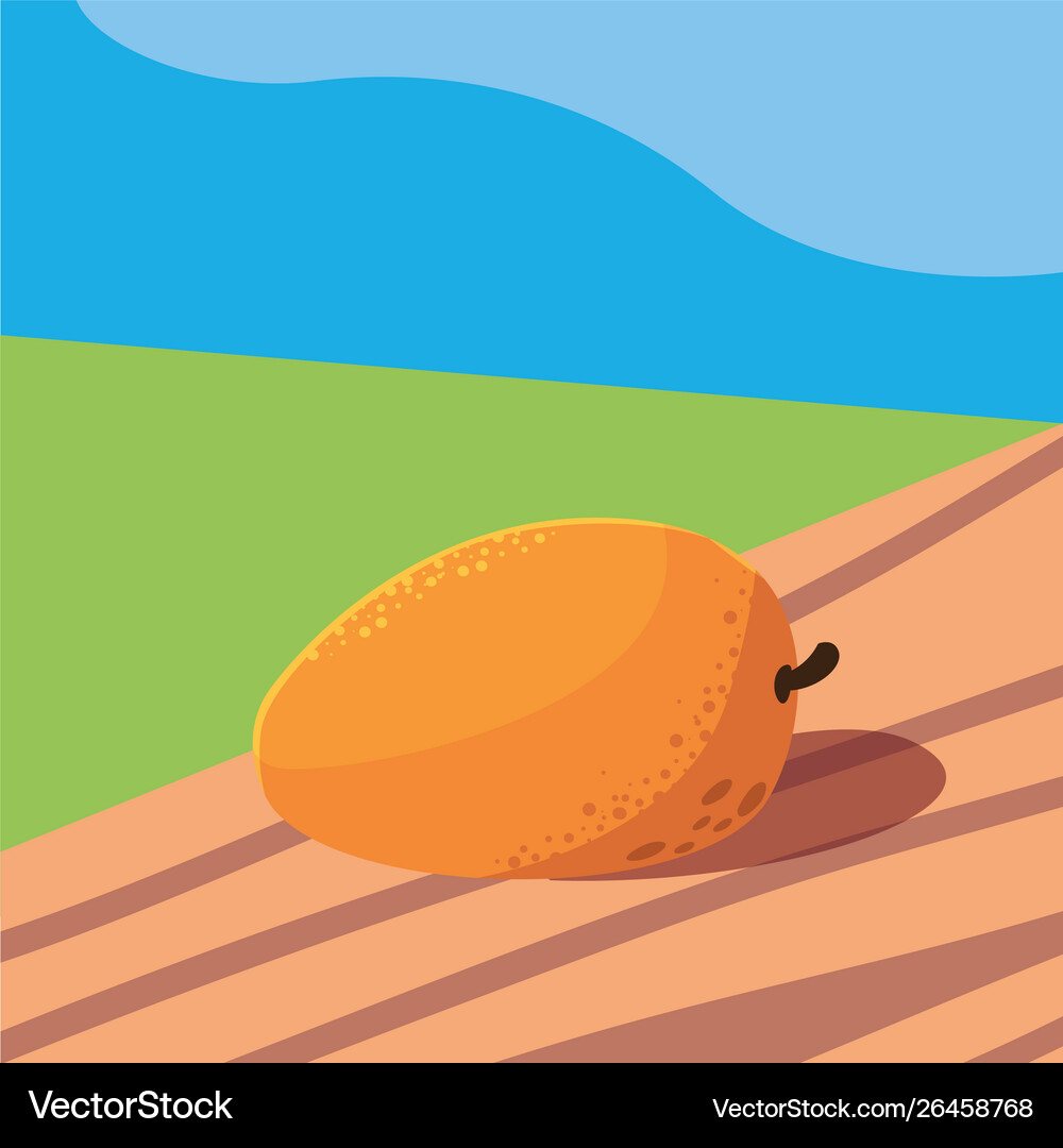 Fresh mango fruit in wooden table and landscape Vector Image
