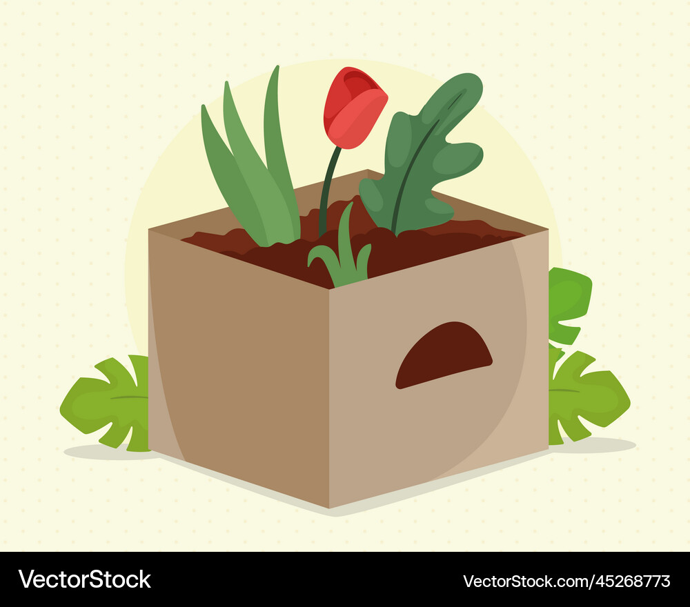 Red flower in box Royalty Free Vector Image - VectorStock