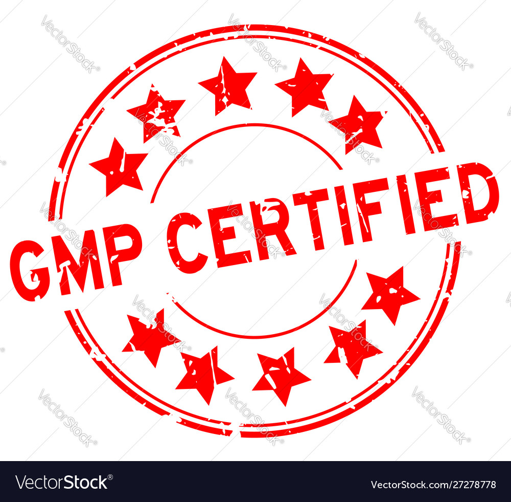Grunge red gmp certified word with star icon Vector Image