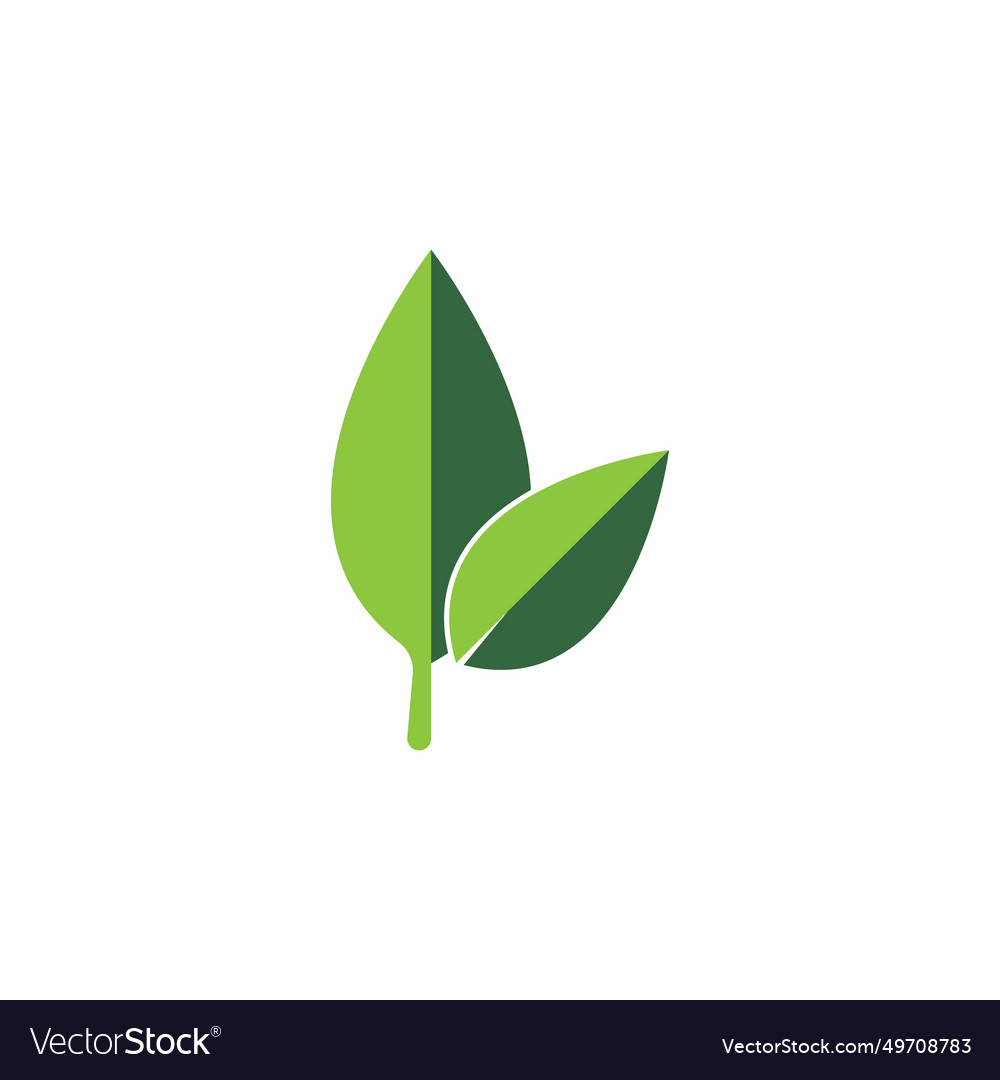 Leaf logo Royalty Free Vector Image - VectorStock