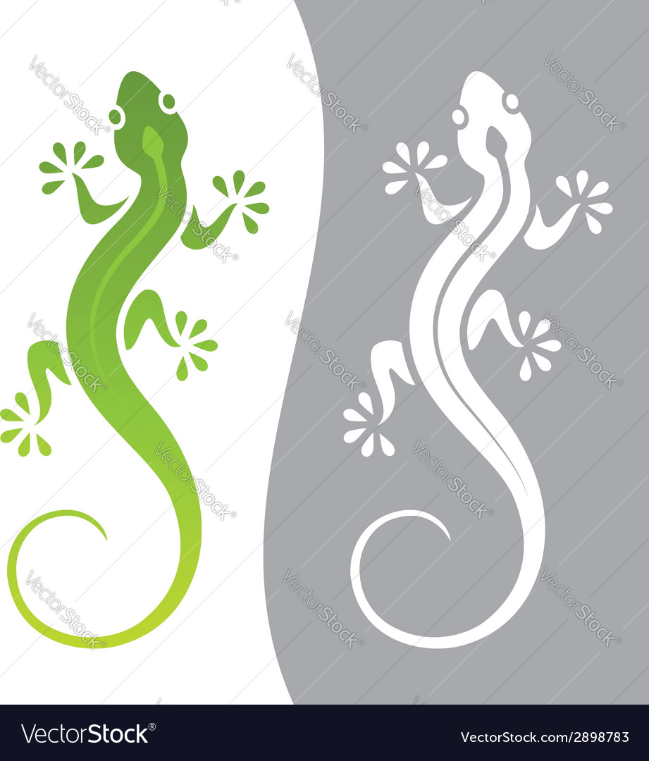 Lizard Royalty Free Vector Image - VectorStock