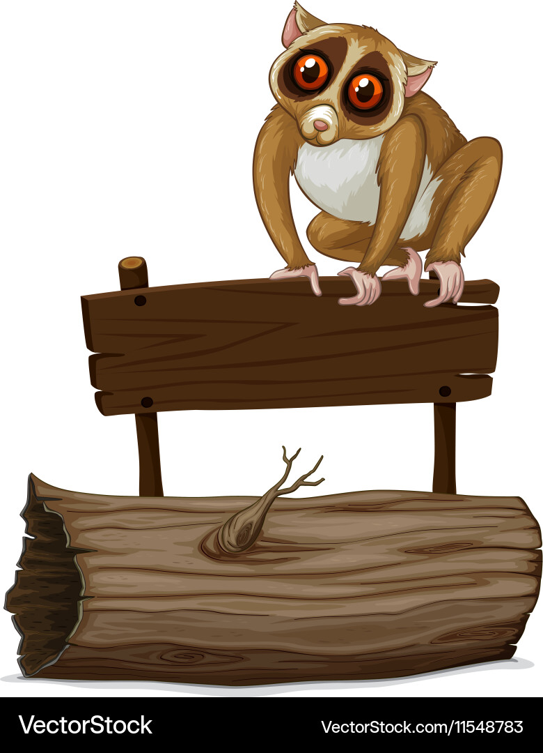 Loris standing on wooden sign Royalty Free Vector Image