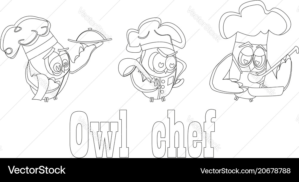 Funny owls set on a chef theme an isolated Vector Image